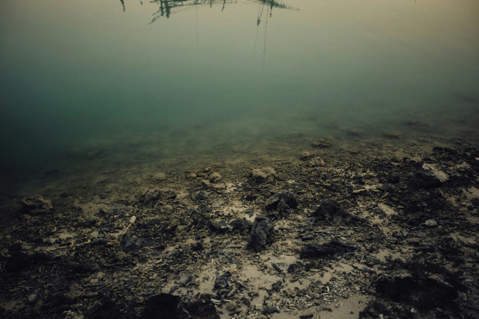 Kenya 2025 macroeconomic outlook: Muddling through the murky waters – IC | Africa-focused full ...